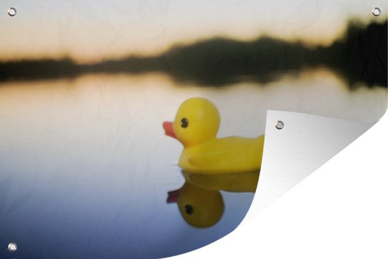 Tuinposter - Tuindoek - Tuinposters buiten - Badeend - Geel - Water ...