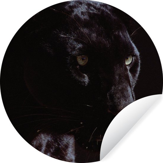 WallCircle - Muurstickers - Behangcirkel - Panter - Dier - Zwart - 100x100 cm -... | bol