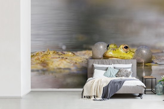 Behang - Fotobehang Close-up van een kwakende kikker - Breedte 420 cm x ...