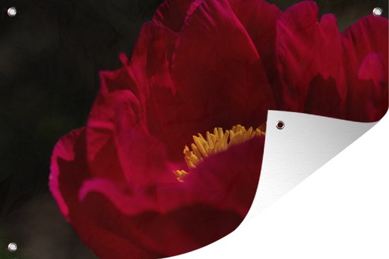 Tuinposter - Tuindoek - Tuinposters buiten - Een afbeelding van een ...