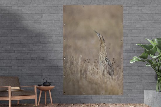 Muurdecoratie Een roerdomp steekt met zijn kop boven de graslanden uit ...