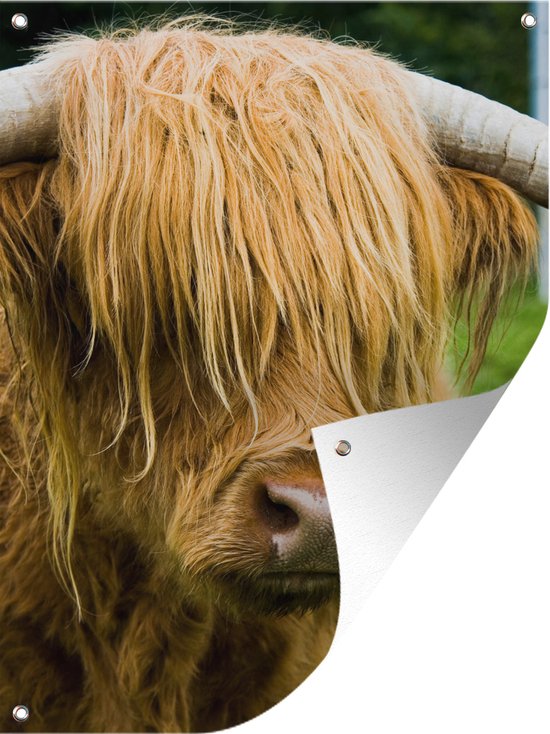 Tuin decoratie Schotse Hooglander - Koeienkop - Portret - 30x40 cm ...