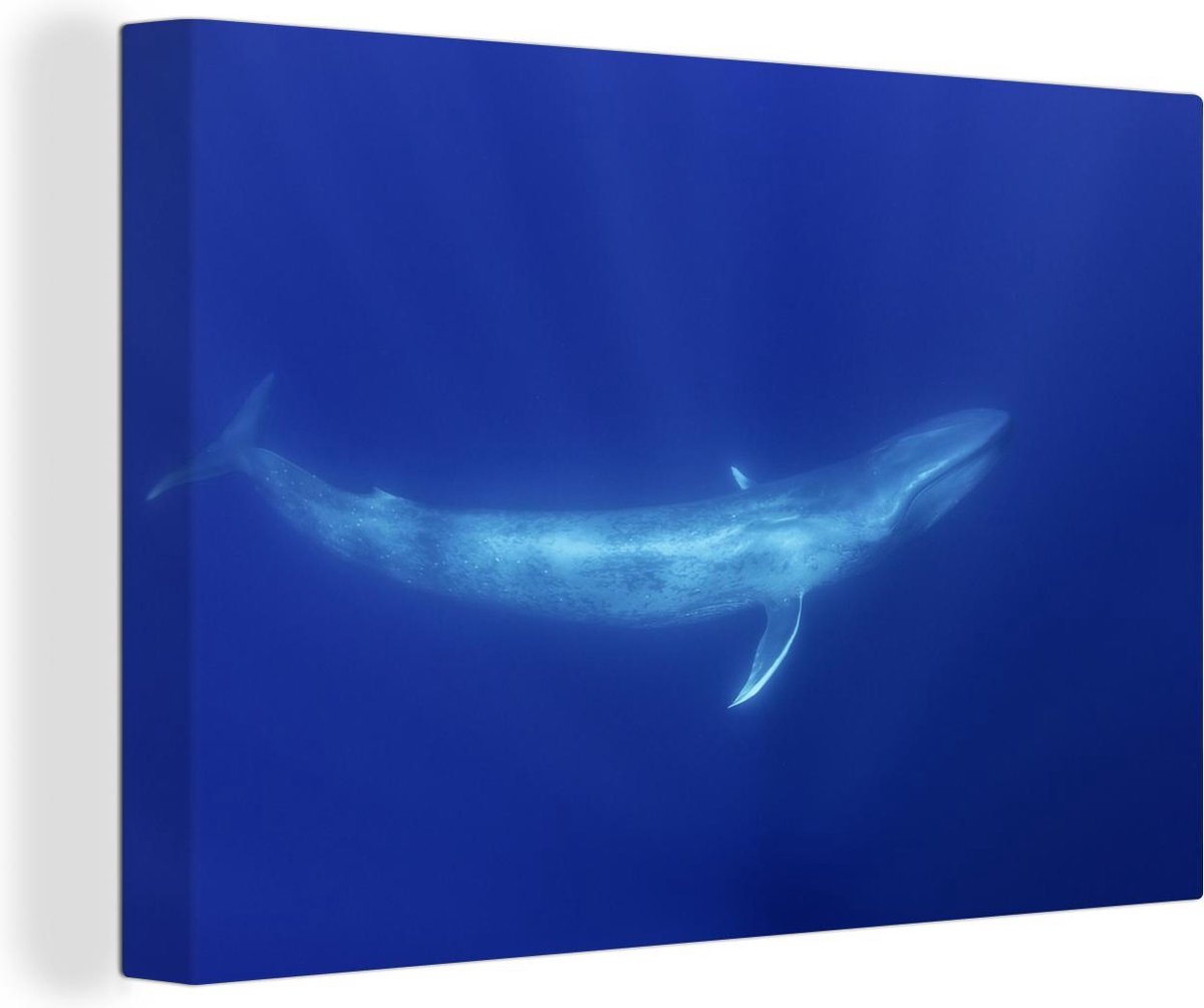 Canvas Schilderij Blauwe vinvis - Walvis - Oceaan - 140x90 cm ...