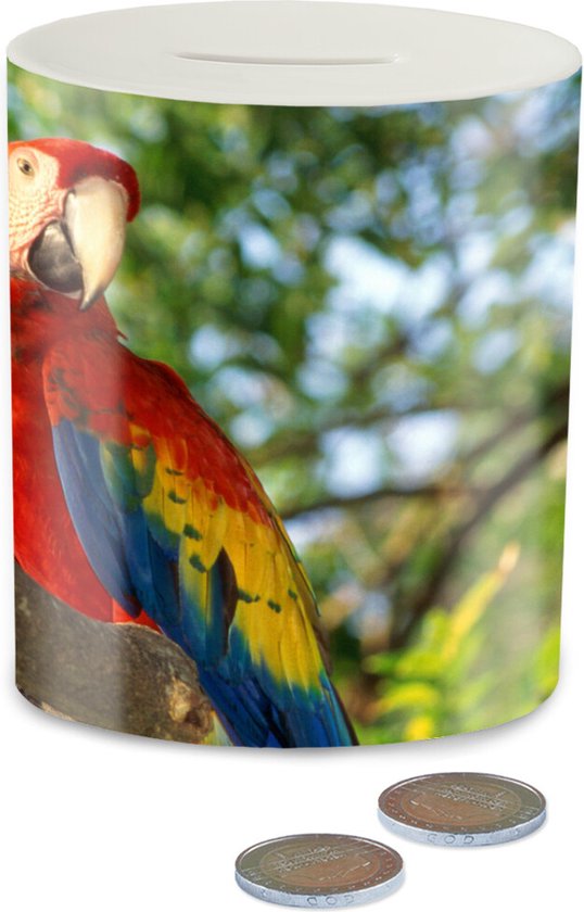 Spaarpot - Spaarblik - Ara zit in een boom - Spaarpotten - Volwassenen ...