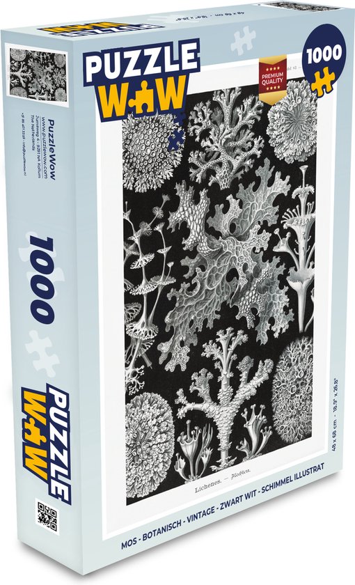 Puzzel Kunst - Koraal - Ernst Haeckel - Oude meesters - Natuur ...