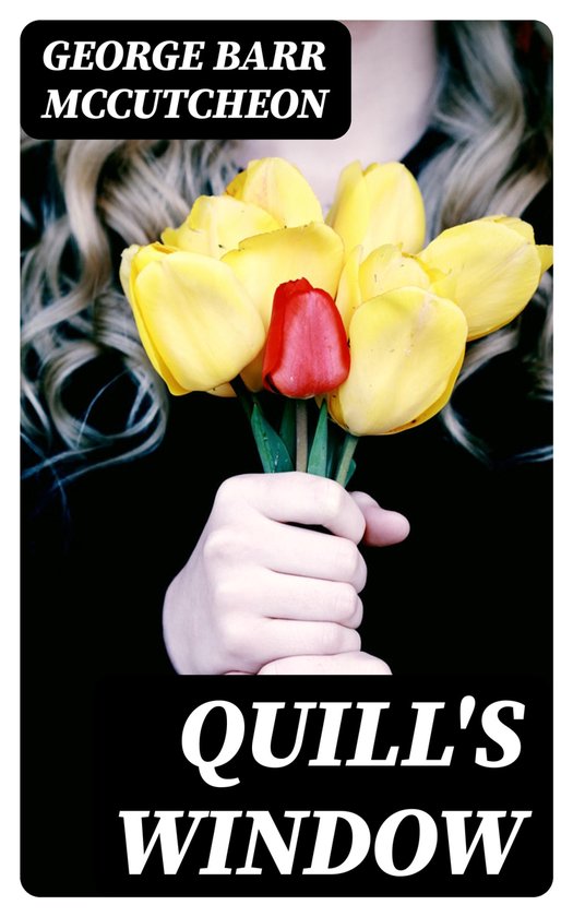 Quill's Window (ebook), GEORGE BARR McCUTCHEON | 8596547225782 | Boeken ...