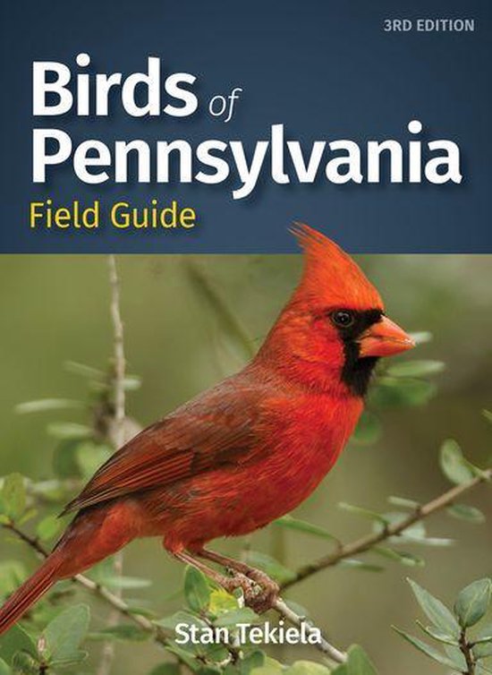 Bird Identification Guides - Birds of Pennsylvania Field Guide (ebook ...