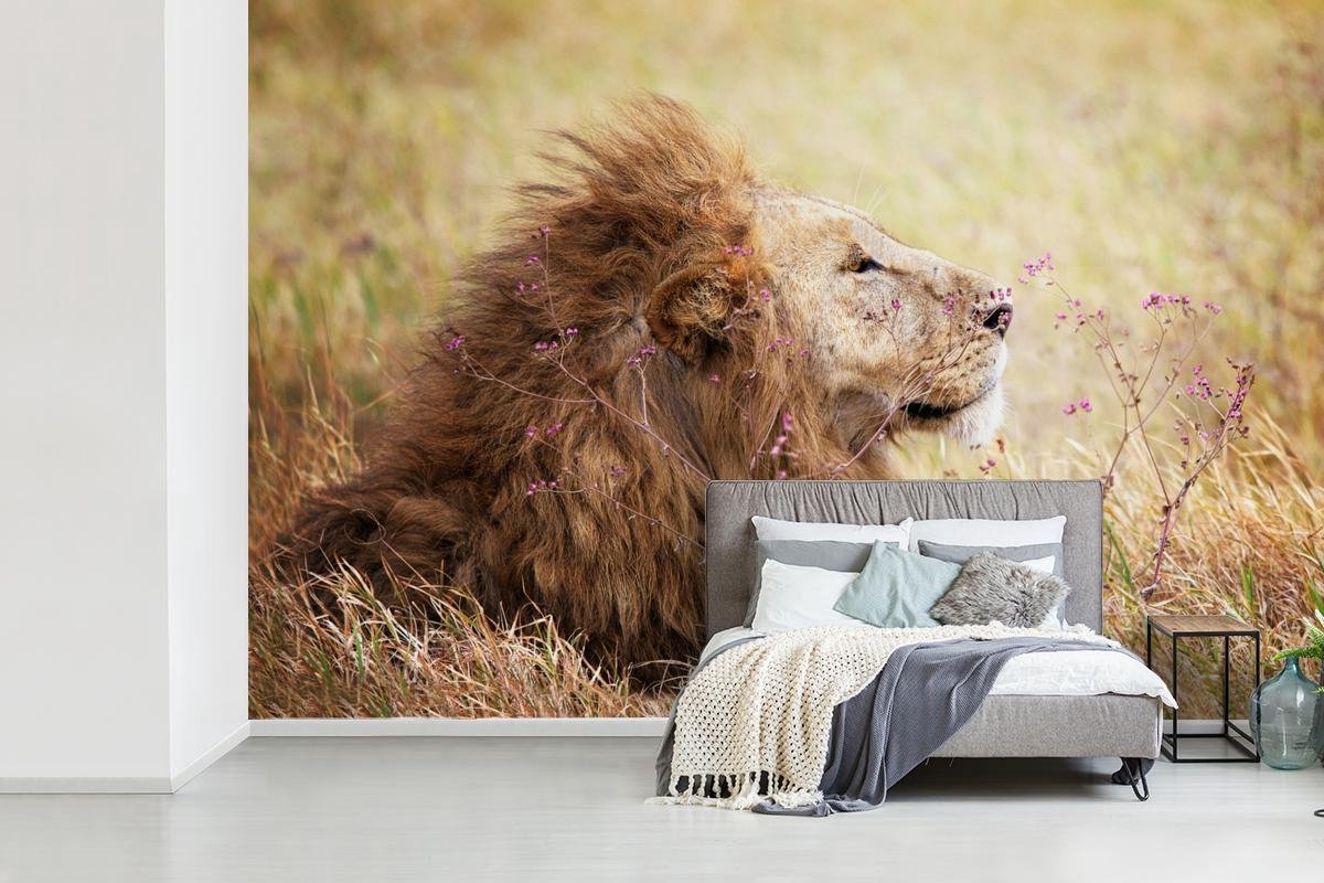 Behang - Fotobehang Leeuw - Jacht - Gras - Breedte 450 cm x hoogte 300 ...