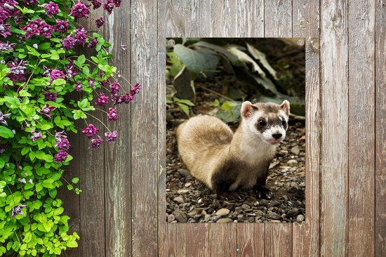 Tuin decoratie Wezel - Dier - Bladeren - 30x40 cm - Tuindoek ...