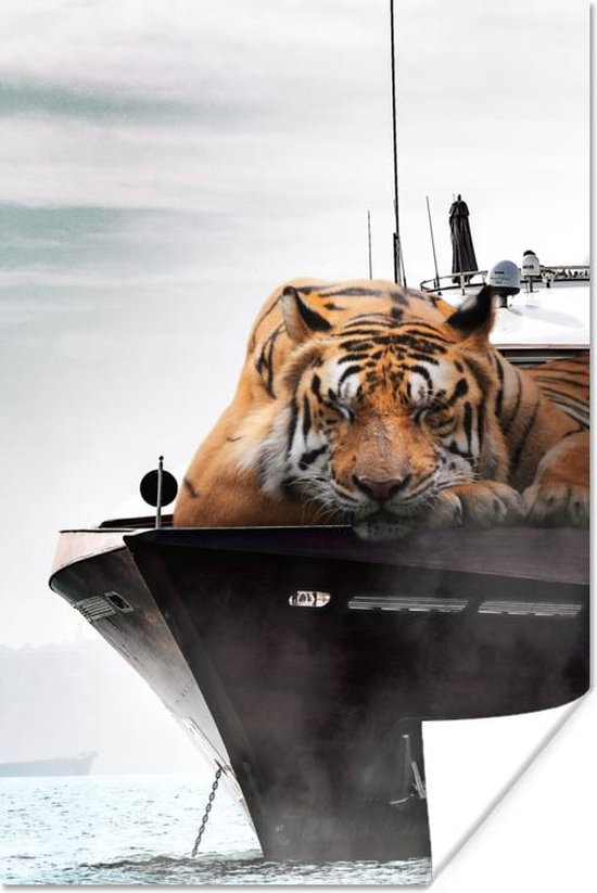 Poster Tijger - Boot - Zee - 120x180 cm XXL | bol