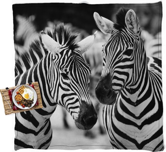 Picknickkleed - Buitenkleed - Zebra zwart wit - Vloerkleed buiten ...