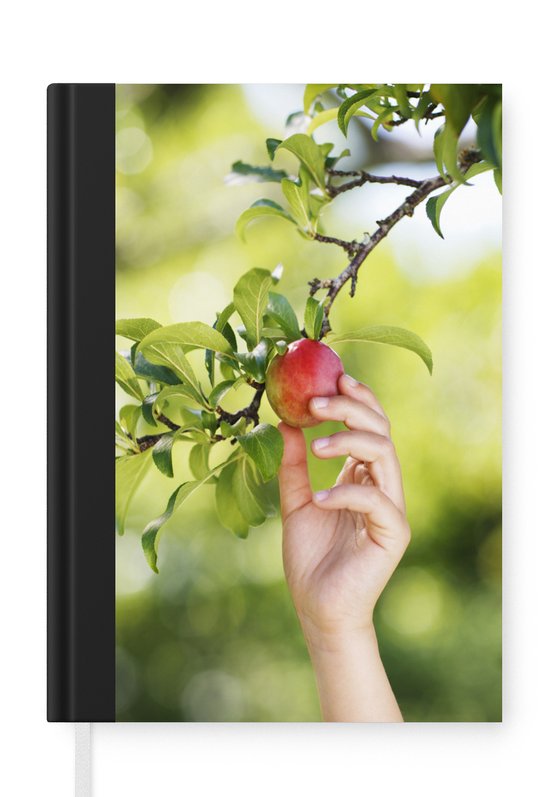 Carnet - Cahier d'écriture - Arbres fruitiers - Potager - Pomme ...