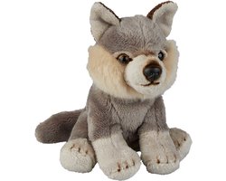 Leuk voor kids – Poolwolf