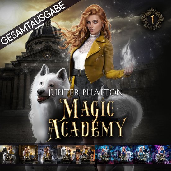 Stallen's Academy of Magic / Magic Academy - Gesamtausgabe (1-9 ...