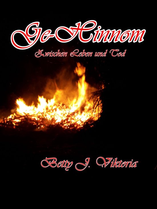 Ge-Hinnom (ebook), Betty J. Viktoria | 9783743885561 | Boeken | bol.com