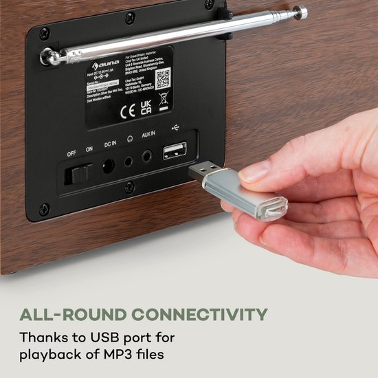 Silver Star Mini internet, DAB+/ FM radio wifi BT USB app bediening | bol