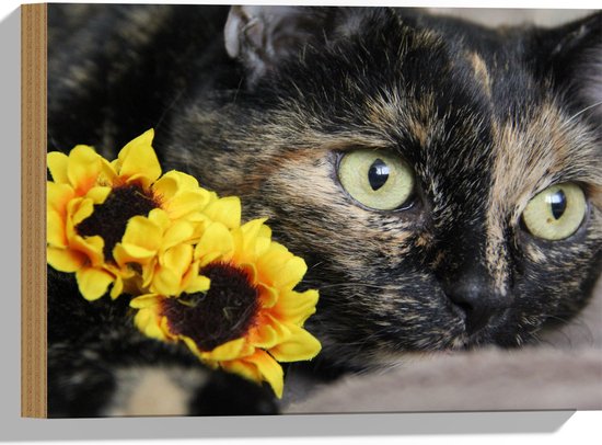 WallClassics - Hout - Zwarte Poes met Gele Bloemen - 40x30 cm - 9 mm ...