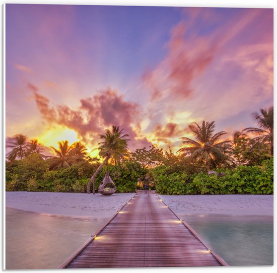 PVC Schuimplaat- Vlonder over Water naar Volgroeid Eiland - 50x50 cm ...