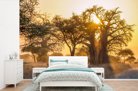 Behang - Fotobehang Baobab boom in mistig landschap met opkomende zon ...
