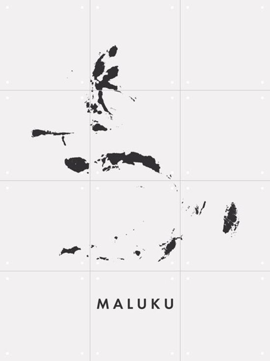 IXXI Maluku Island Map, Kunst in Kaart - 60 x 80 cm - Gratis ophangtool ...
