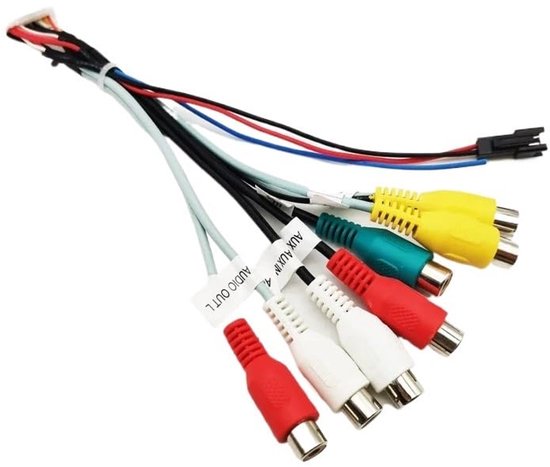 20 Pin RCA Audio Video Kabel Subwoofer Uitgang CVBS Aux In Amp Controle ...