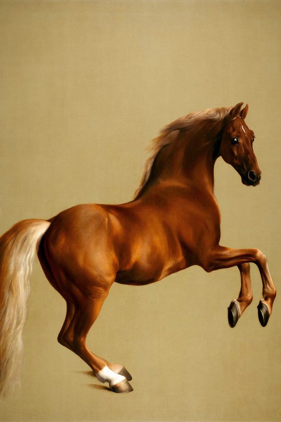 George Stubbs - WhistleJacket - WhistleJacket (1762) - 3:2 | bol