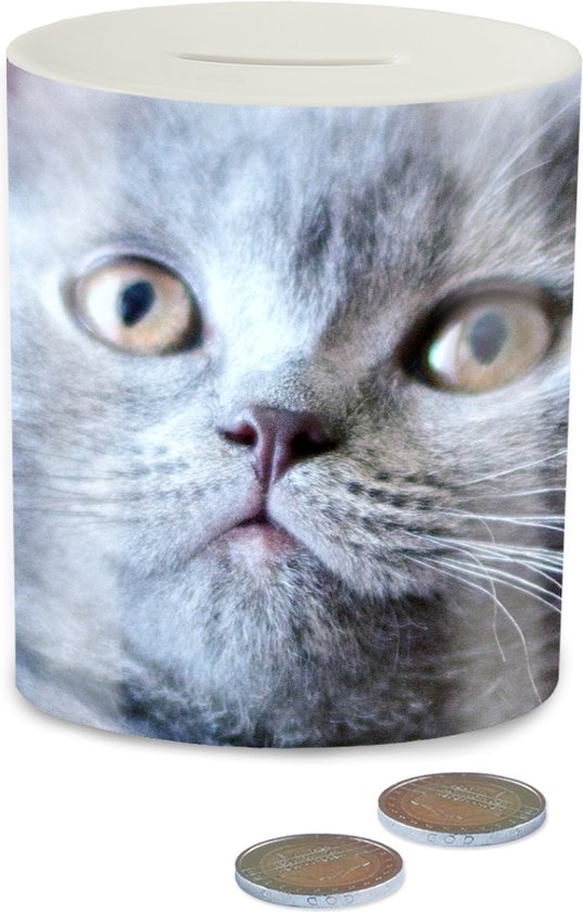 Spaarpot - Spaarblik - een korthaar - Spaarpotten - Volwassenen - Kind ...