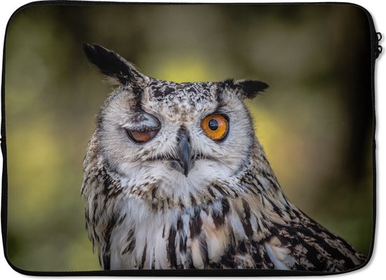 Laptophoes 14 inch - Uil - Oog - Oranje - Laptop sleeve - Binnenmaat ...