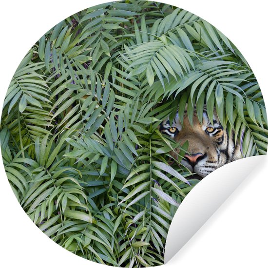 WallCircle - Muurstickers - Behangcirkel - Tijger - Bladeren - Varen - 120x120 cm -... | bol