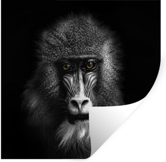 Muurstickers - Sticker Folie - Aap - Dieren - Ogen - Bruin - Zwart wit - 120x120 cm -... | bol