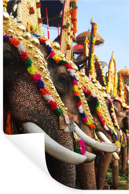 Muurstickers - Sticker Folie - Olifant - Parade - Dieren - 40x60 cm ...