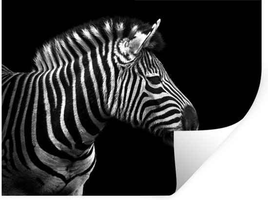 Muurstickers - Sticker Folie - Zebra - Zwart - Wit - Portret - Dieren - 40x30 cm -... | bol