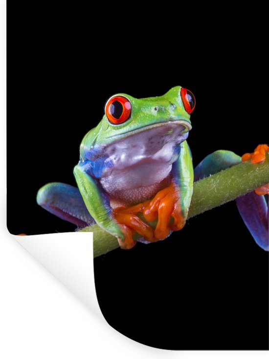 Muurstickers - Sticker Folie - Kikker - Plant - Zwart - 90x120 cm ...