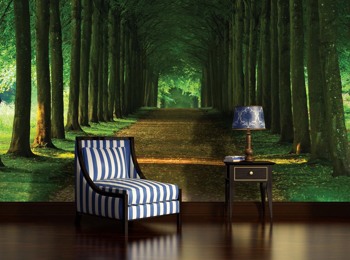 Fotobehang Vlies | Bos, Natuur | Groen | 368x254cm (bxh) | bol.com