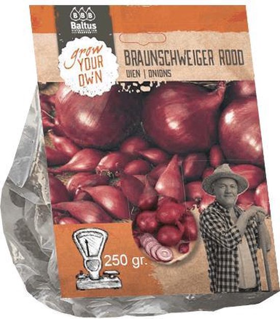 3 stuks Zomer Bloembollen Uien Braunschweiger Rood (per 250 gram) | bol.com