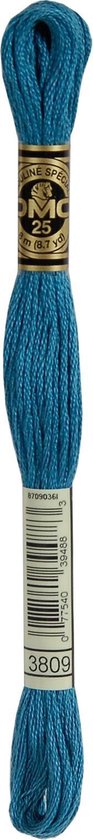 DMC Borduurgaren-3809 Aqua Groen | bol.com