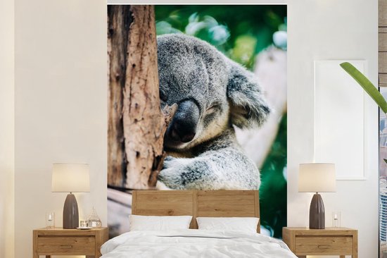 Behang - Fotobehang Koala - Dier - Boom - Breedte 225 cm x hoogte 350 ...