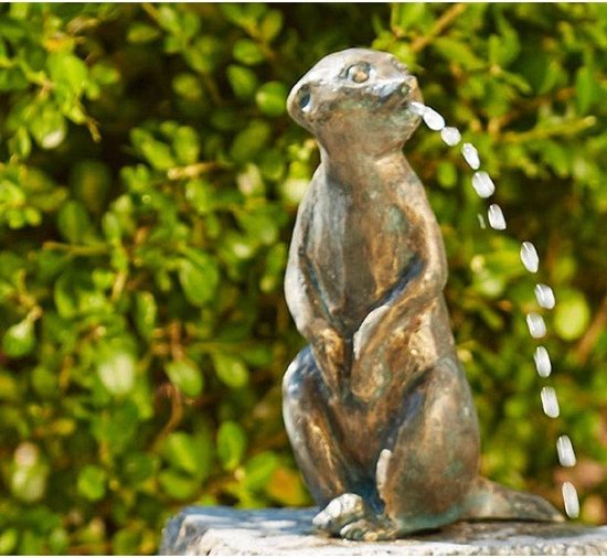 Bronzen Beeld: Meerkat medium Fontein | bol