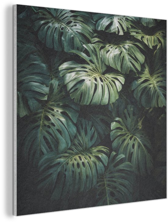 Akoestisch wandpaneel 50x50 cm - Vilt schilderij Plant - Monstera ...