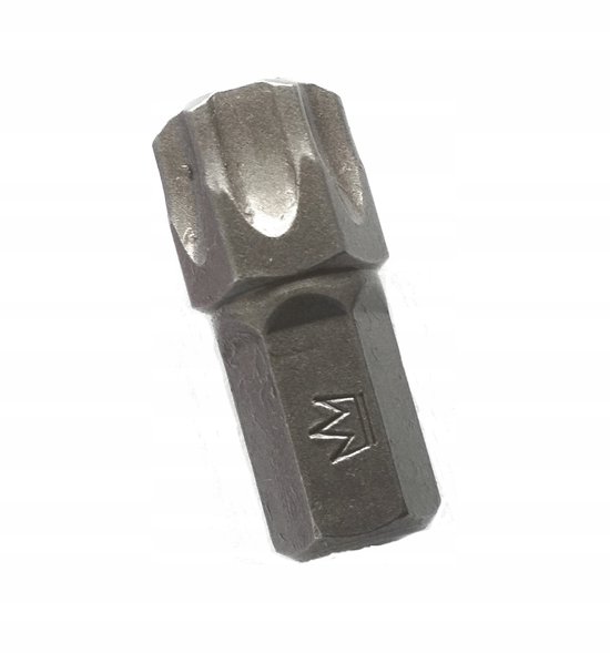 Richmann Bit Torx Security TR T20 met gat 30mm S2 Staal | bol