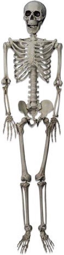 Skelet (90cm) - Halloween | bol
