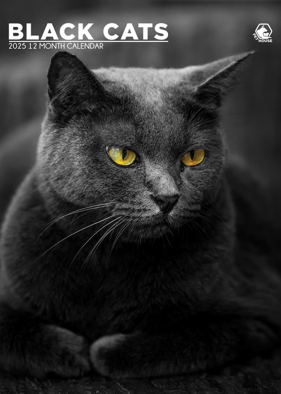 Zwarte Katten A3 Kalender 2025 | bol