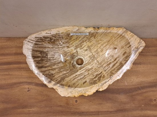 Waskom van versteend hout - 54x31x15cm - FL22776 | bol