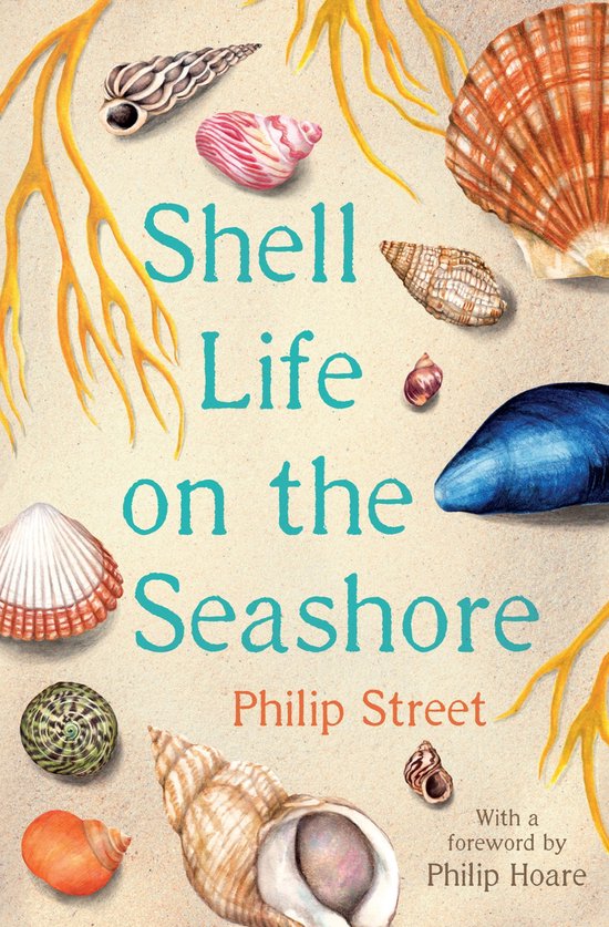 Shell Life on the Seashore (ebook), Philip Street | 9780571359110 ...