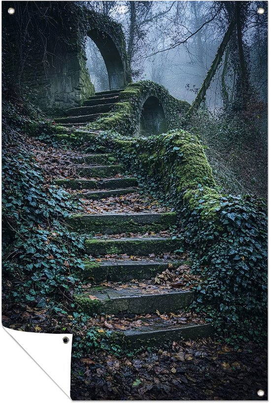 Mossige trap in het bos - Trappen buitenposter - Poster van buiten ...