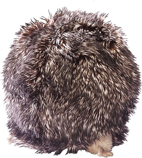 Folkmanis Hedgehog, Handpop, Dier, 1 stuk(s) | Games | bol