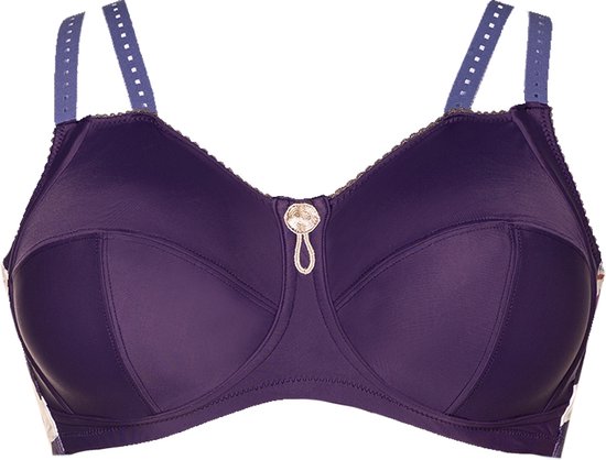 Disismi grote maten BH zonder beugels Sweden - Paarsie | bol