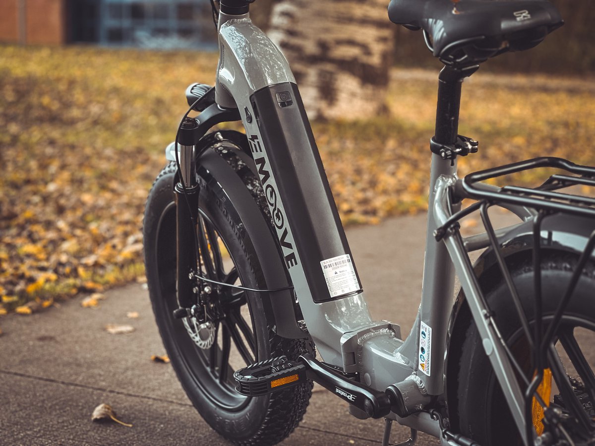 EMOOVE 250LX PRO - Elektrische Fatbike - Bereik 60 km - Max 25 km/u ...
