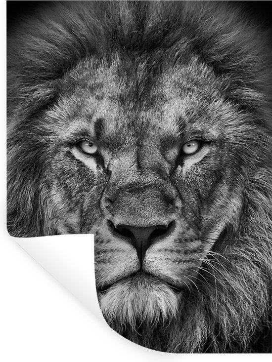 Muurstickers - Sticker Folie - Dieren - Leeuw - Zwart - Wit - Portret - 120x160 cm -... | bol