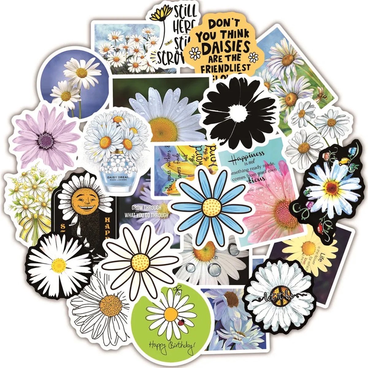 Madeliefjes Stickers 50 Stuks | Bloemen Stickers | Flower | Quote ...